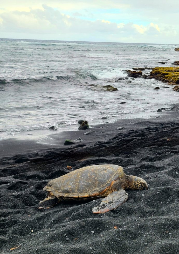 Exploring Hawaii’s Big Island | Tales of a Travel Addict